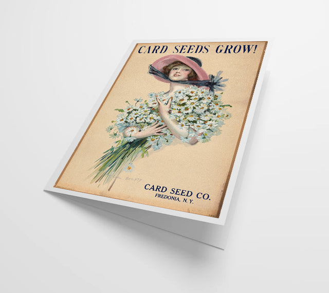 Card Seed Company – Card Seed Co.