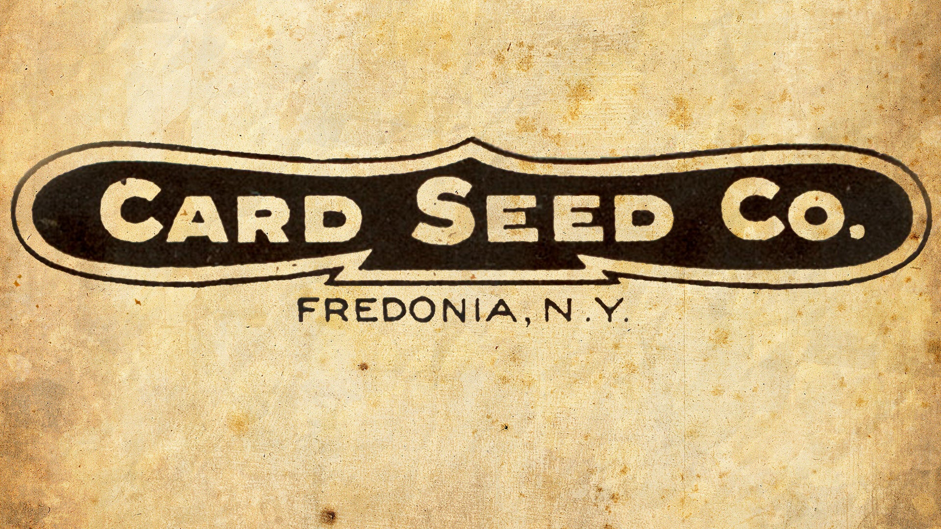 Card Seed Company – Card Seed Co.